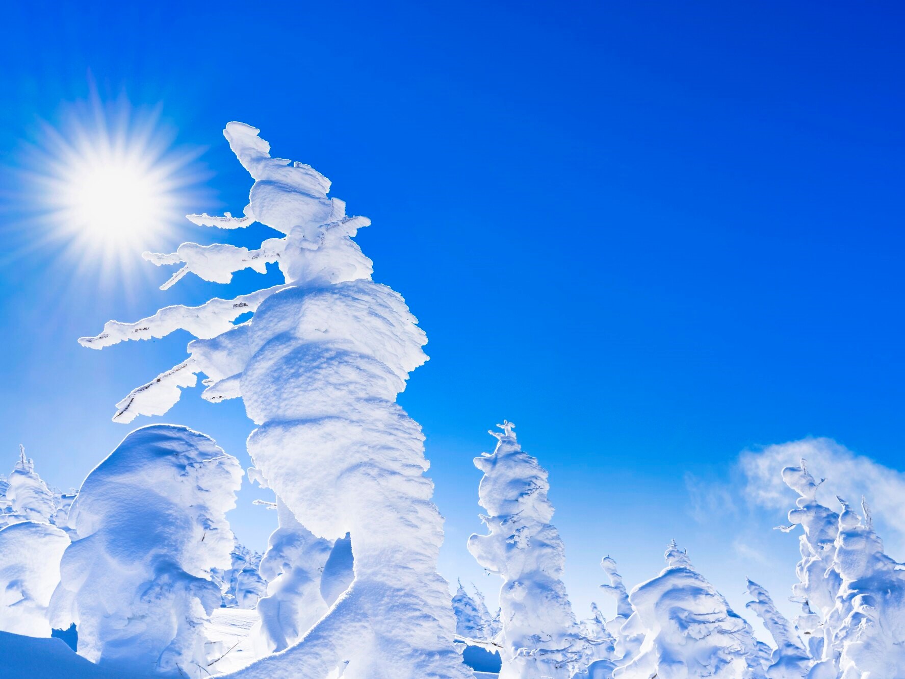 Tabi-CONNECTJR東日本 - Tabi-CONNECT