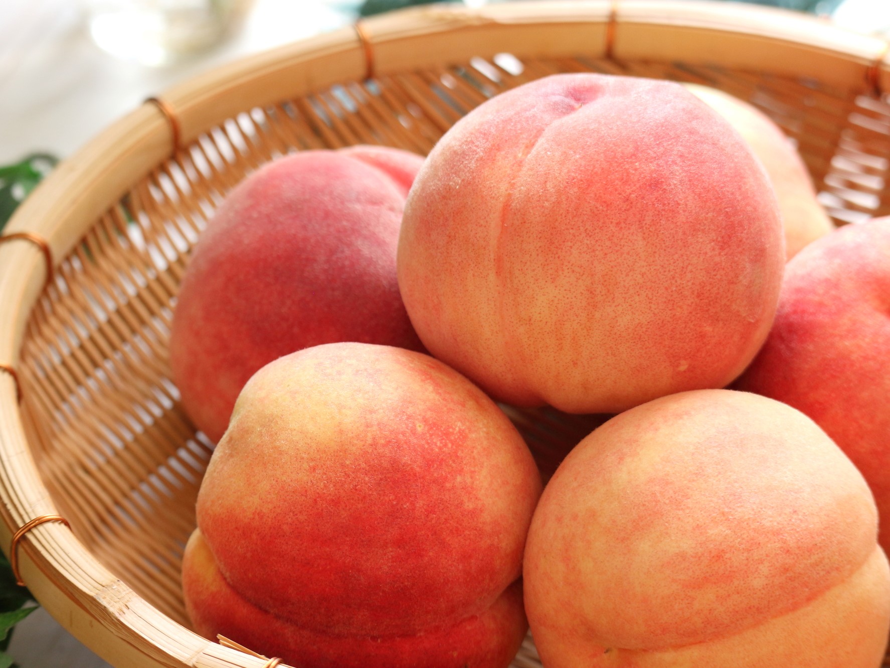 Tabi-CONNECTJR東日本 - Tabi-CONNECT