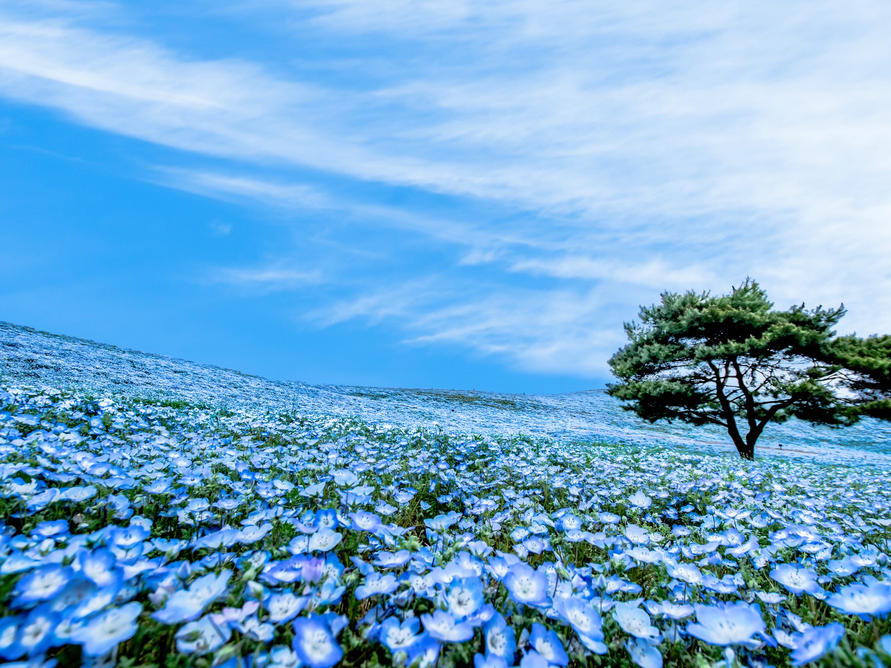 Tabi-CONNECTJR東日本 - Tabi-CONNECT