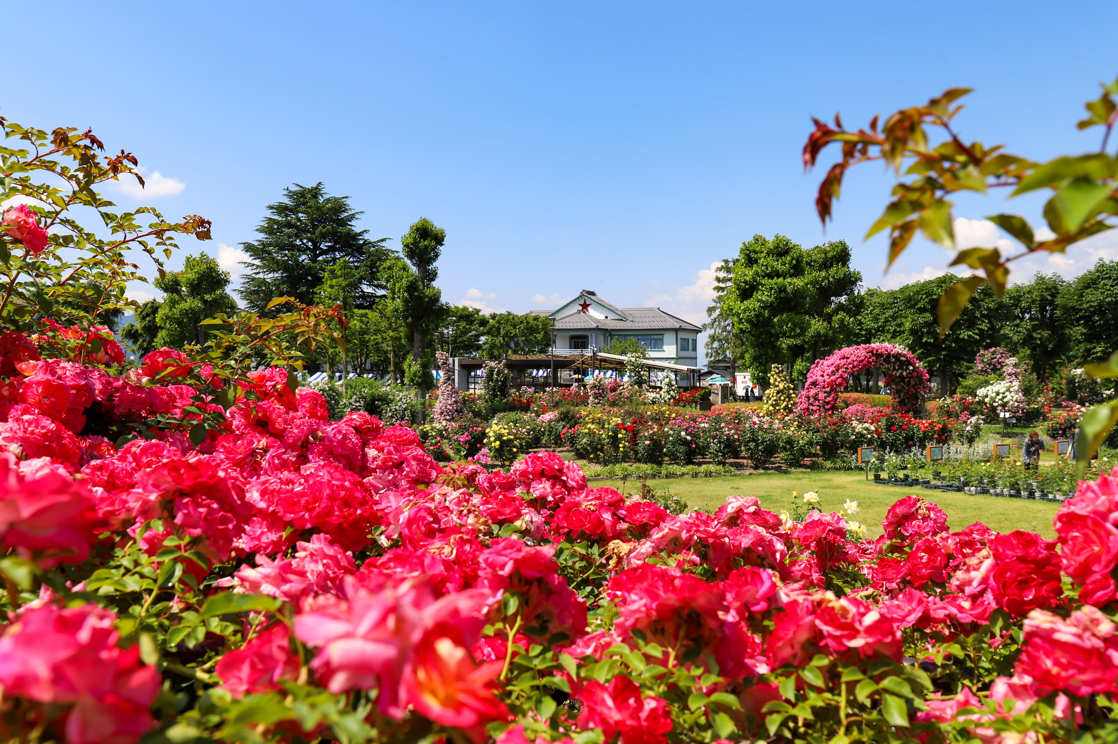 JR東日本 - Tabi-CONNECT