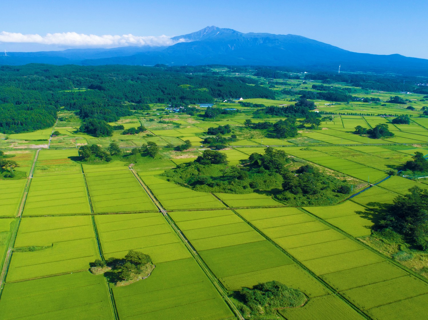 JR東日本 - Tabi-CONNECT
